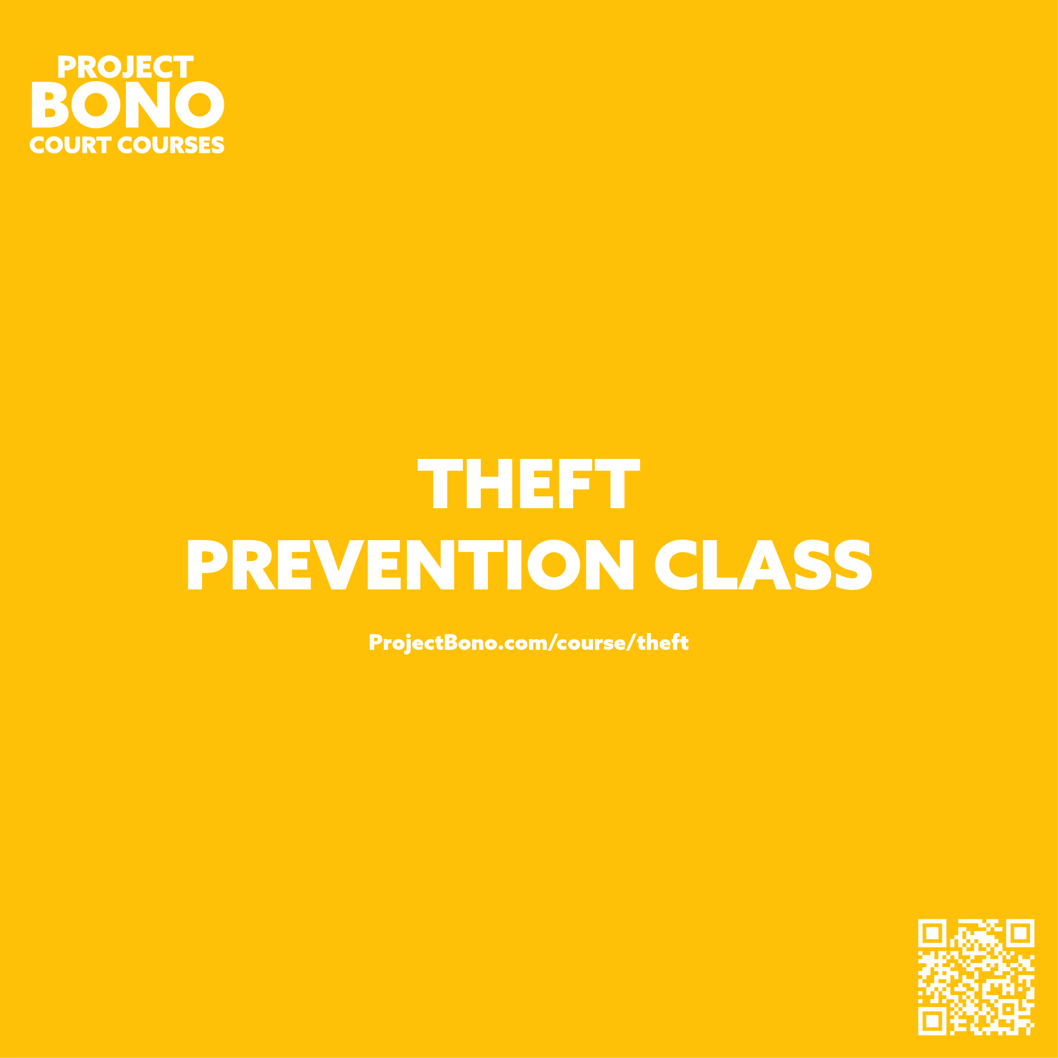 Theft Prevention - 16 Hours – Project Bono