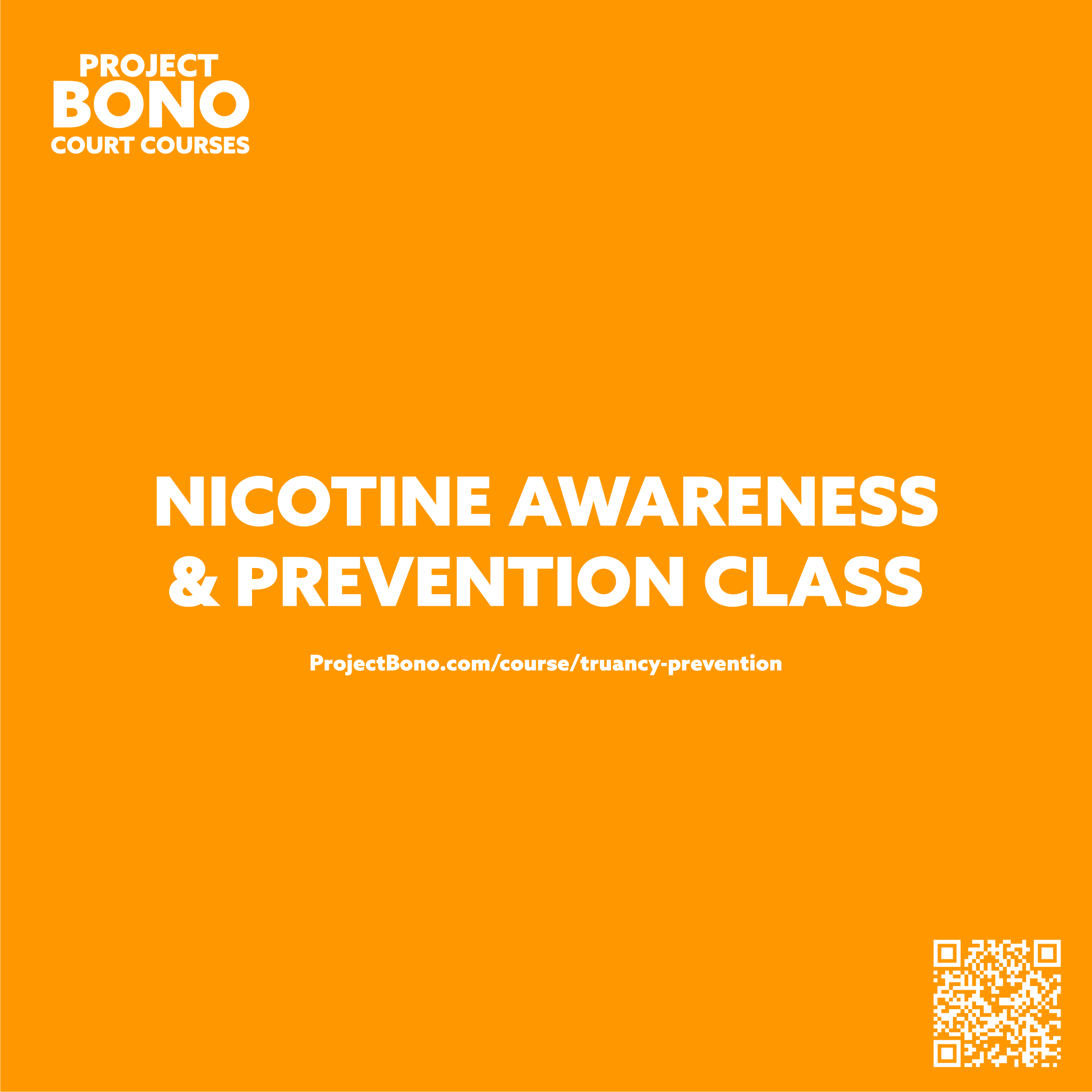 Nicotine Awareness & Prevention – 2 Hours – Project Bono