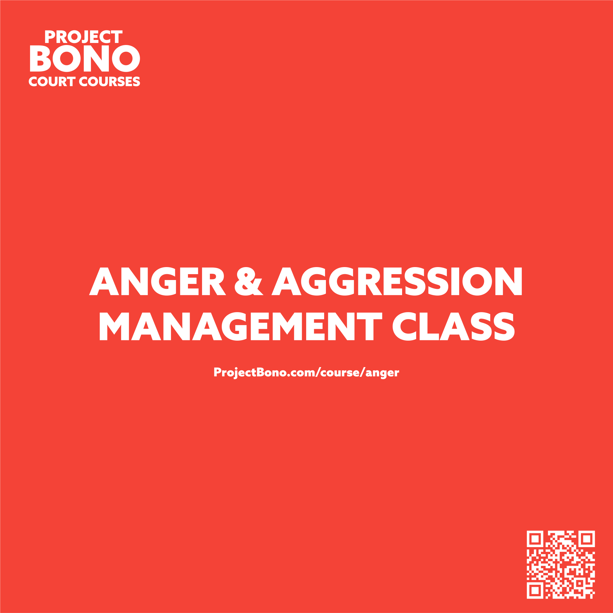 Anger & Aggression Management – 1 Hour – Project Bono